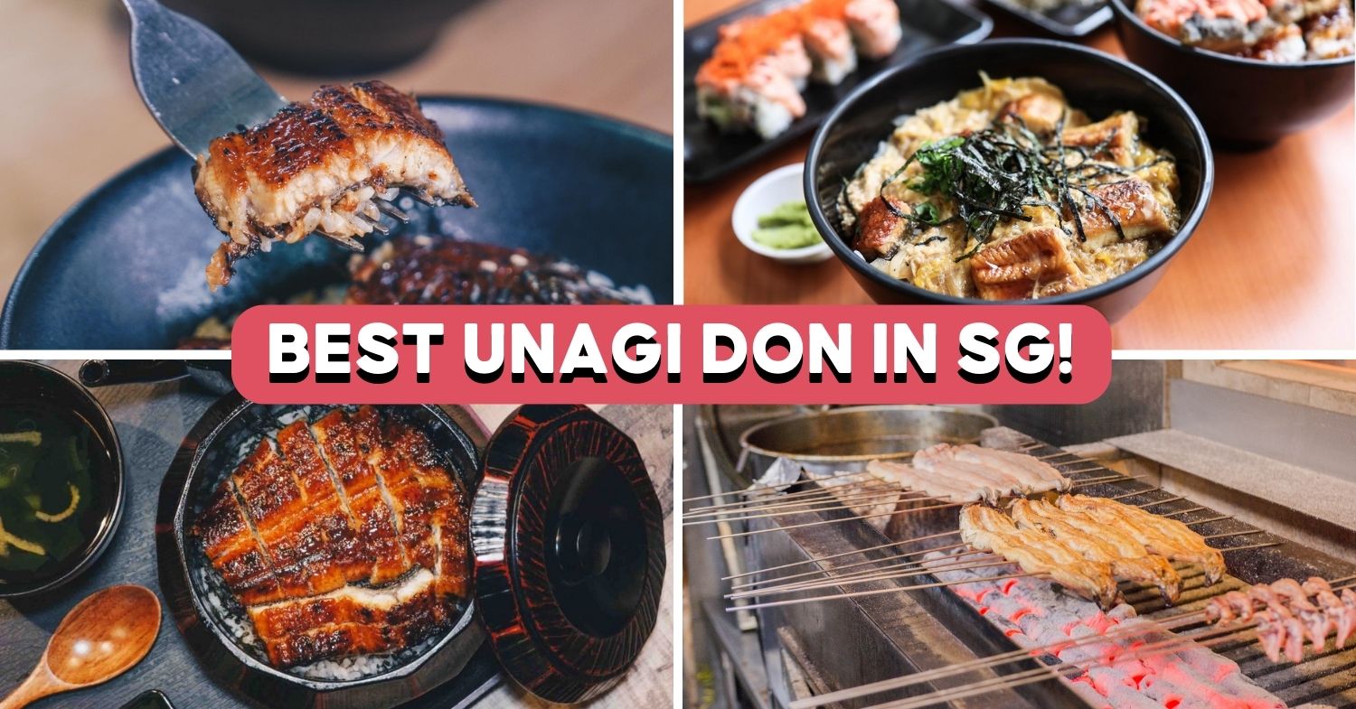 11 Best Unagi Don In Singapore, From $9 A Bowl - Singapore Promo