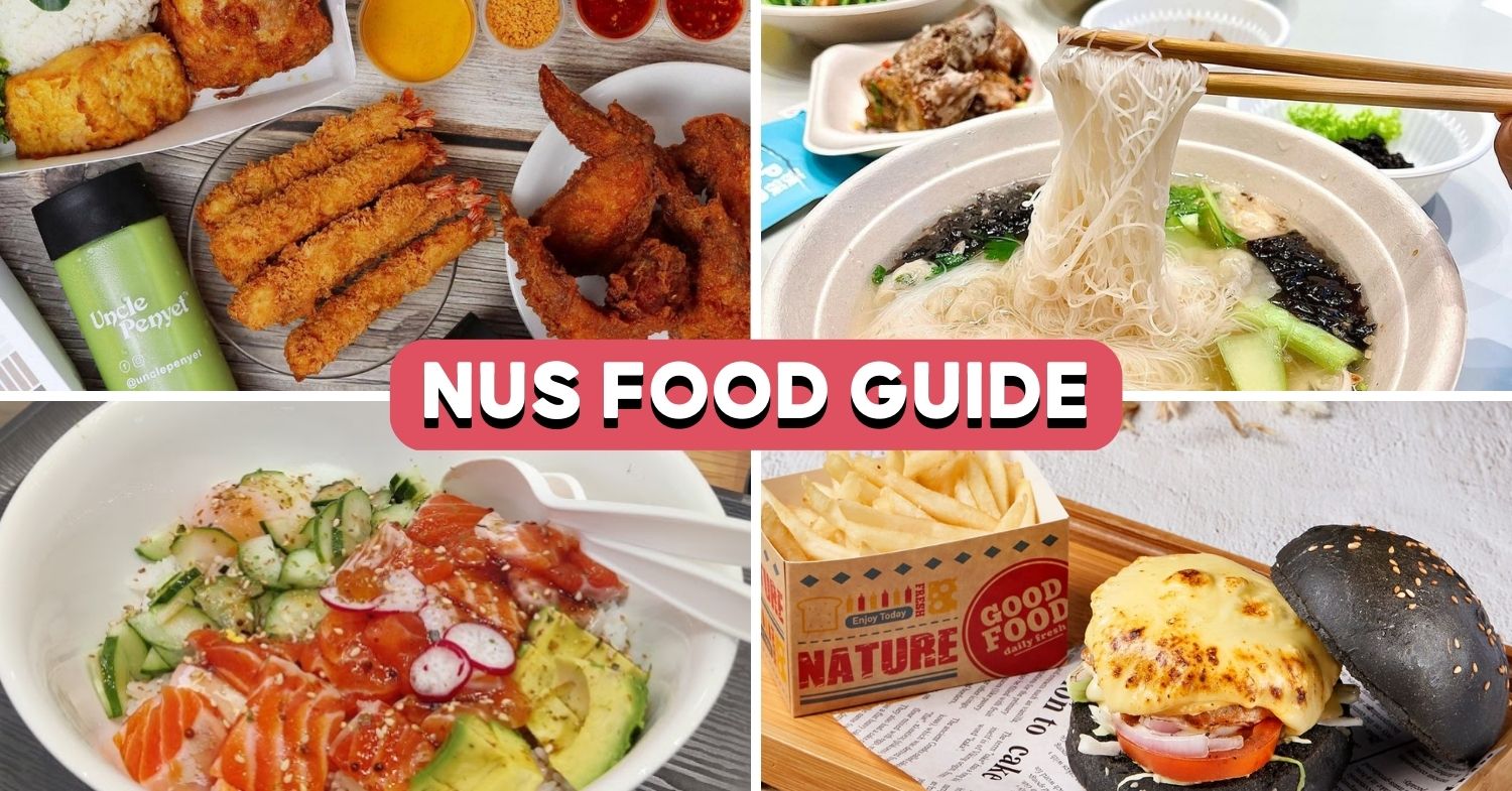 NUS Food Guide: 10 Best Places For $2.30 Roasted Duck Noodles, Sashimi ...