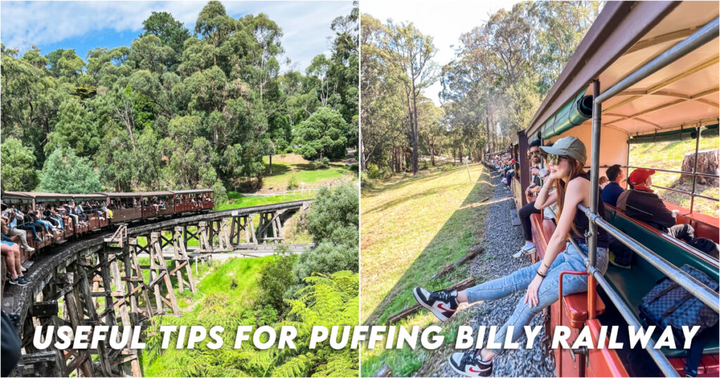 Puffing Billy Railway – Everything You Should Know Before Boarding ...