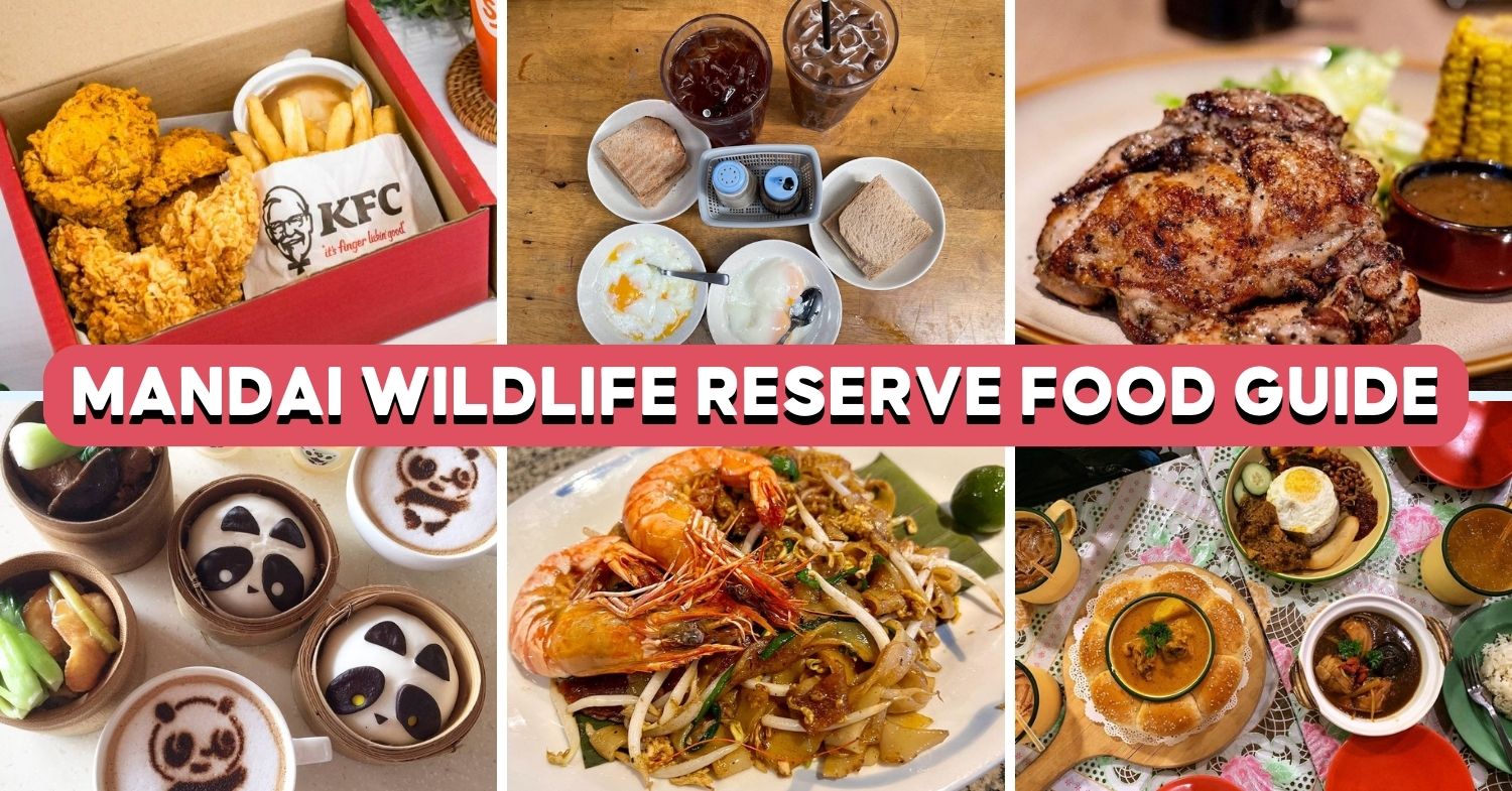 Mandai Wildlife Reserve Food Guide: 15 Eateries To For Your Next Zoo Or ...