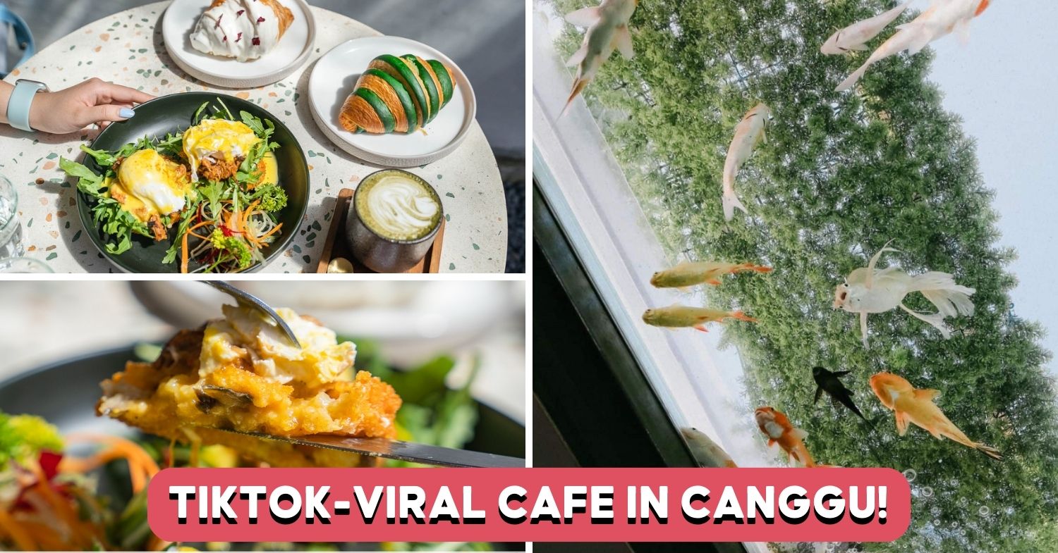 This TikTok-Viral Cafe In Canggu Has A Mesmerising Rooftop Aquarium And ...
