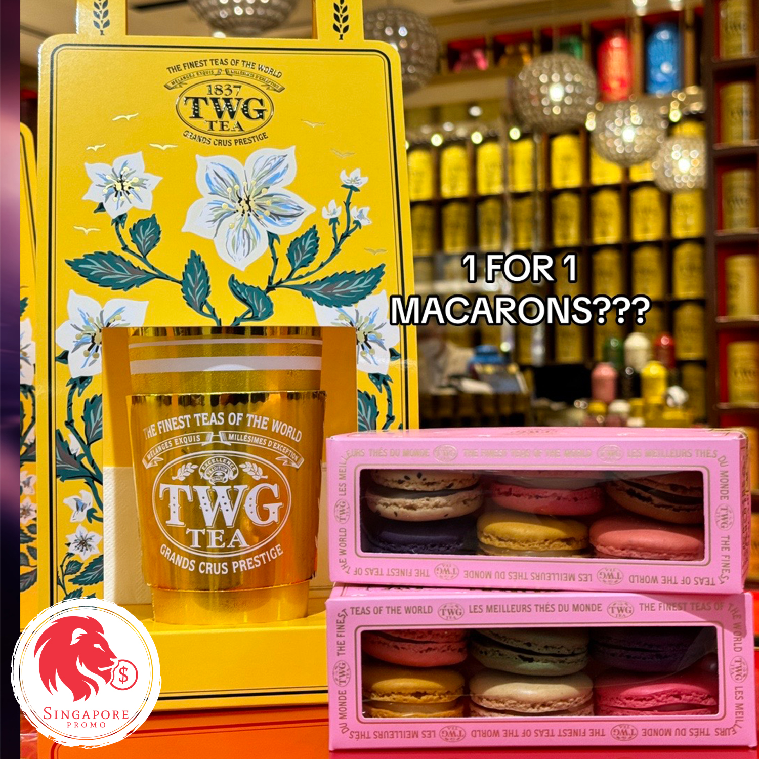 1-FOR-1 Macarons - Singapore Promo